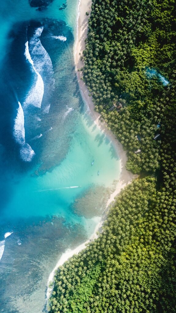 “Which Is Better for You: Beach vs. Mountains Vacation Guide” - Times ...